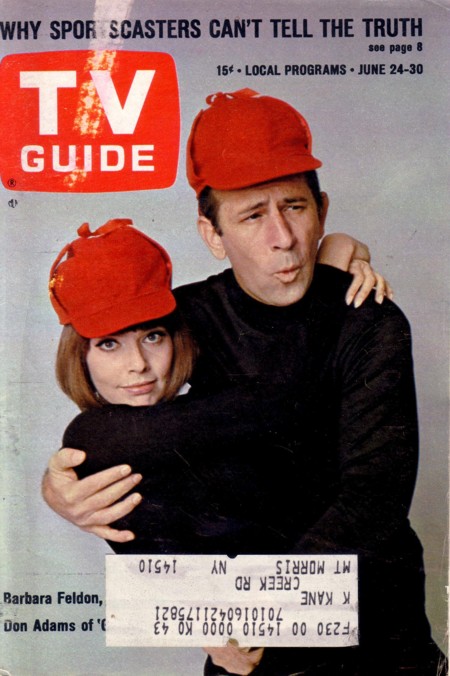 Get Smart Video Info